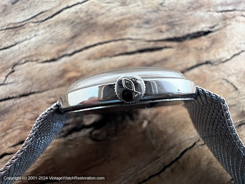 IWC Silver Dial with Bold Black Roman Numerals, Manual, 34.5mm ...