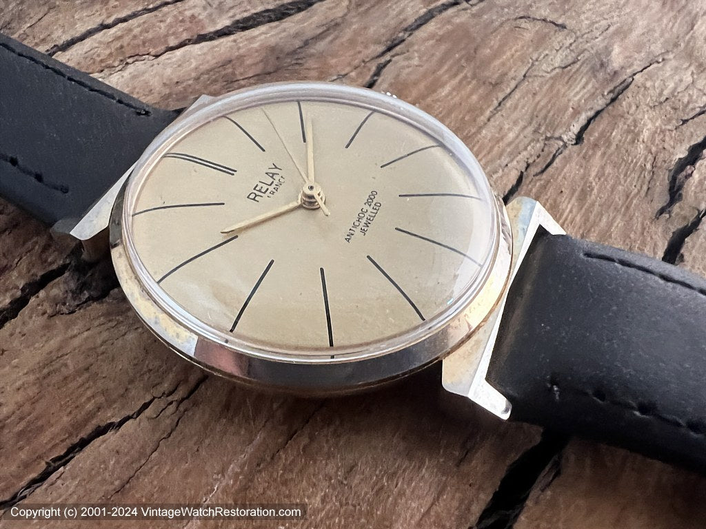Relay France Brushed Golden Dial with Fine Black Hour Marker Lines, Ma ...